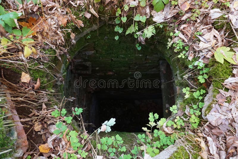 Small Cave Formed in the Red Limestone Walls of Condor Canyon Stock ...