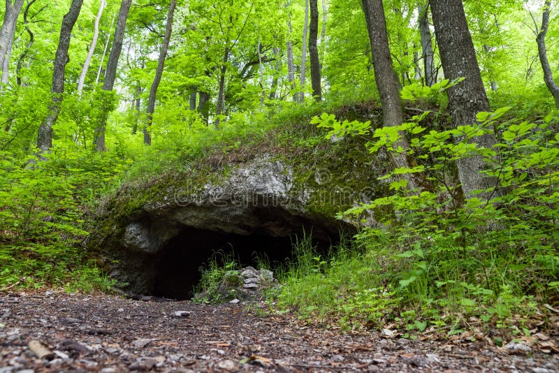 Small cave in forest stock photo. Image of zniev, beautiful - 153496470