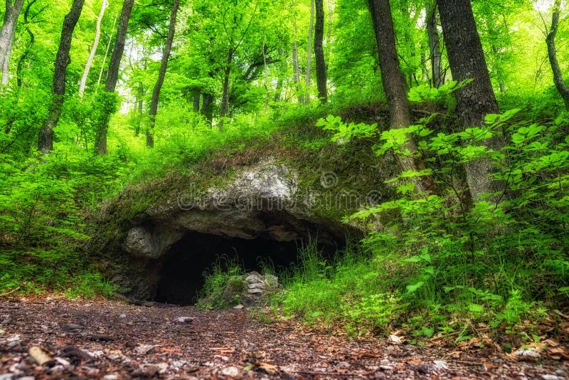 Small cave in forest stock image. Image of forest, wood - 315791211