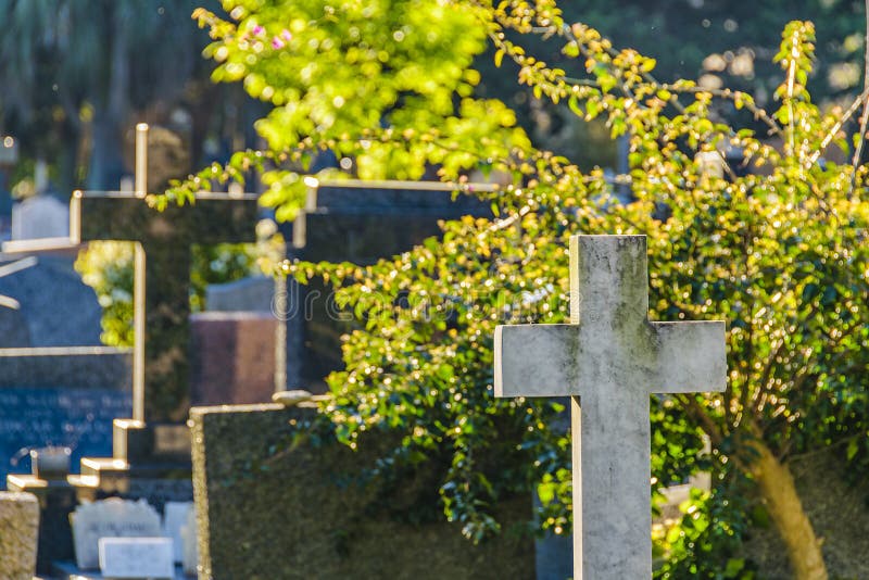 Small Cemetery, Montevideo, Uruguay Stock Photo - Image of cementerio ...