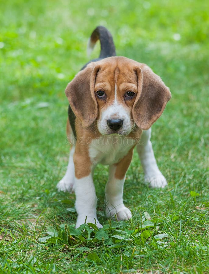 Bigl | atelier-yuwa.ciao.jp