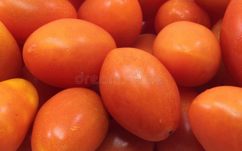 Small Cherry Roma Tomatoes Background Stock Image - Image of colorful ...