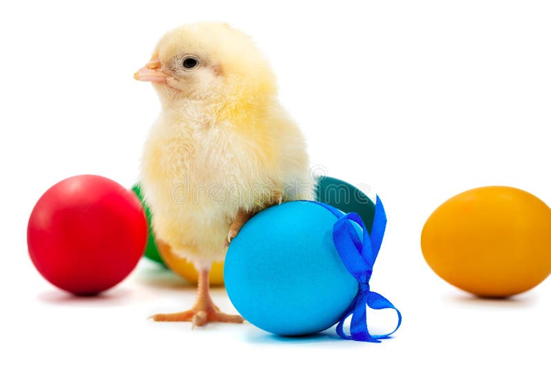 Small Yellow Chick with Easter Eggs. Stock Photo - Image of ribbon ...