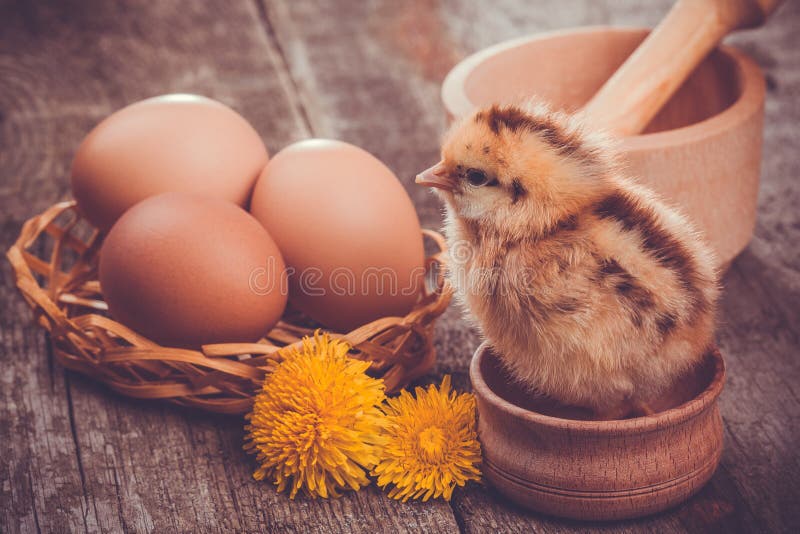 Small Chick with Egg on the Wooden Table Stock Image - Image of baby ...