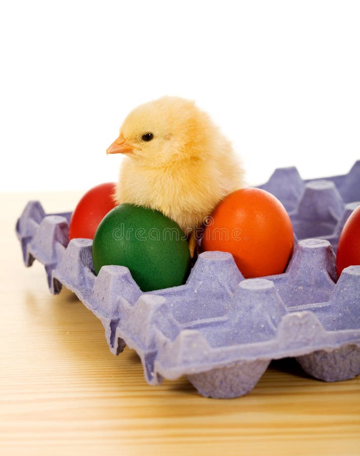 Small Chicken with Easter Eggs Stock Image - Image of rejuvenate ...