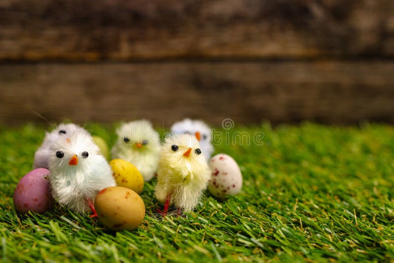 Small Chickens, Hatched from Colorful Eggs, Stand on the Green Grass ...