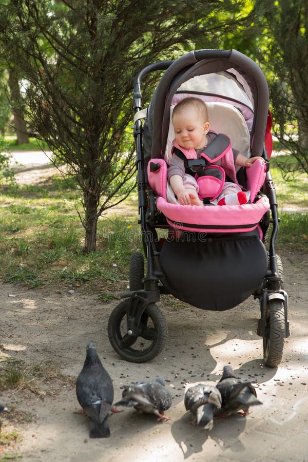 Small Child Sitting in a Pram Stock Image - Image of closeup, asian ...