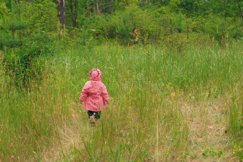 Small Child Walking Alone in the Forest Stock Photo - Image of child ...