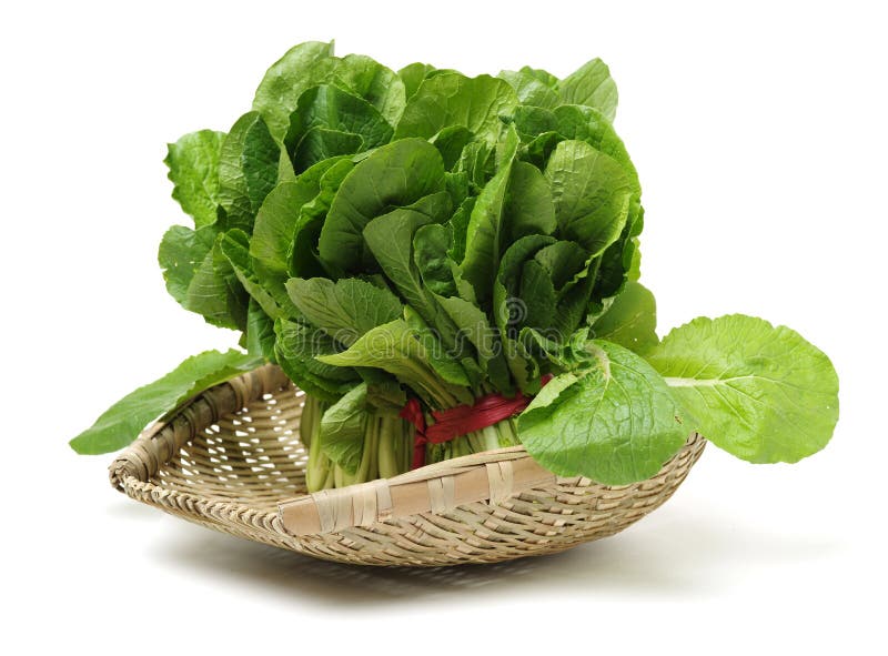 Small Chinese cabbage stock photo. Image of natural, healthy - 17936778
