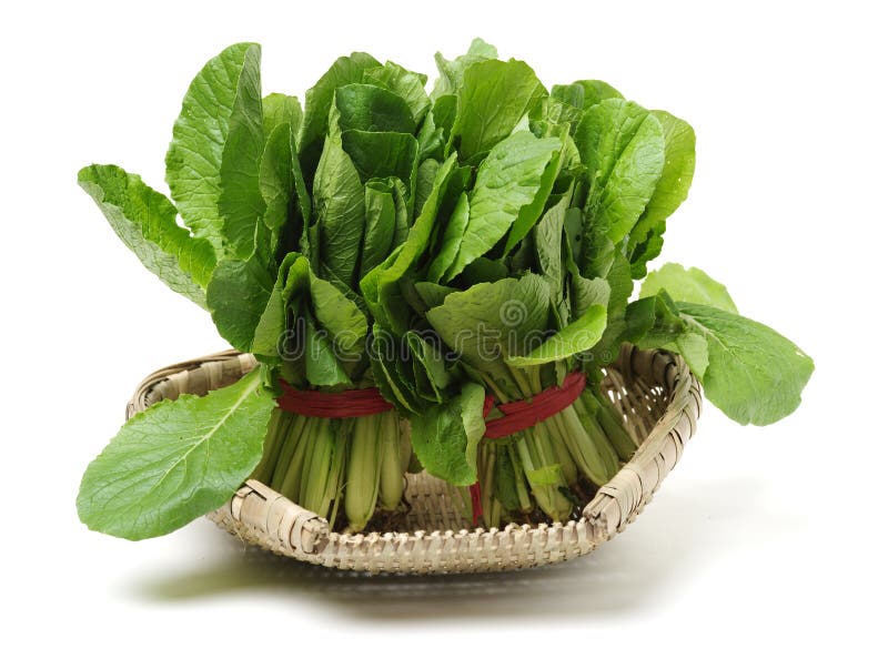 Small Chinese cabbage stock photo. Image of chinese, leaves - 17936768