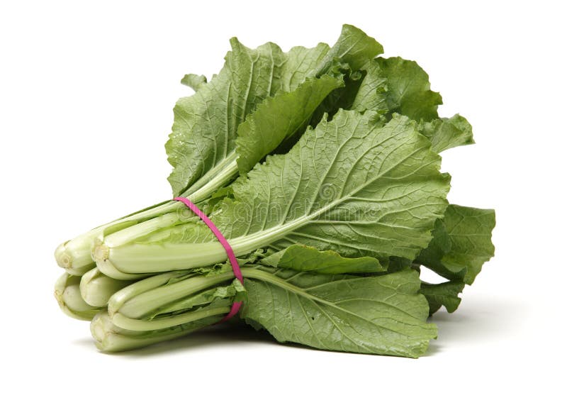 Small Chinese cabbage stock photo. Image of chinese, leaves - 17936768