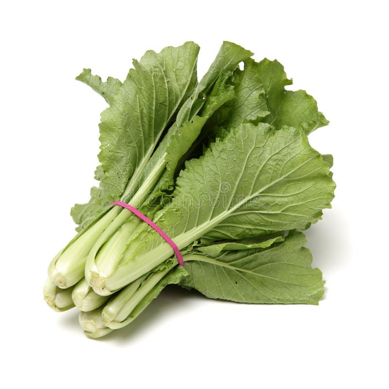 Small Chinese cabbage stock photo. Image of natural, healthy - 17936778