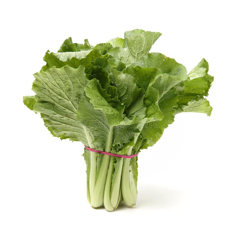 Small Chinese cabbage stock photo. Image of chinese, leaves - 17936768