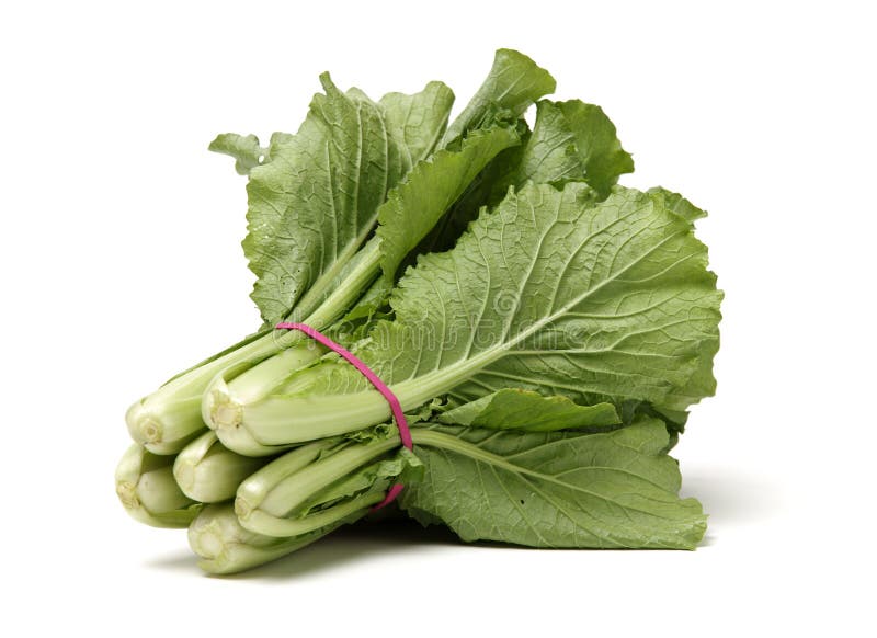 Small Chinese cabbage stock photo. Image of natural, healthy - 17936778