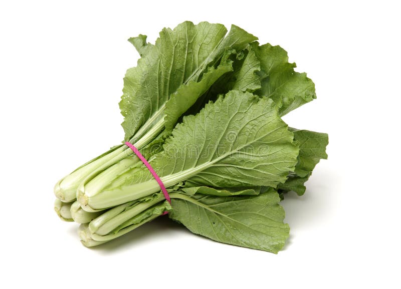 Small Chinese cabbage stock photo. Image of natural, healthy - 17936778