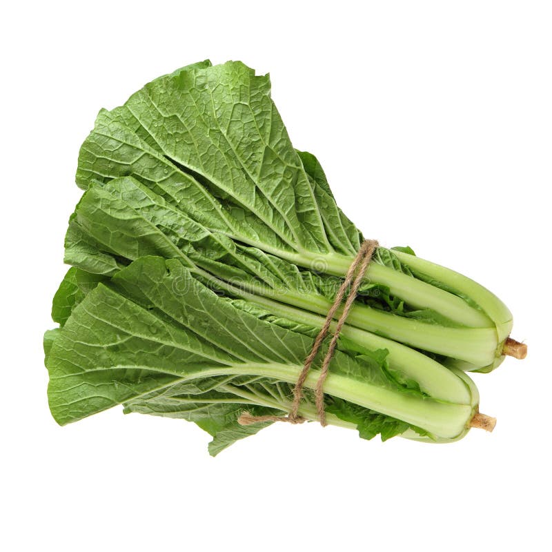 Small Chinese cabbage stock photo. Image of natural, healthy - 17936778