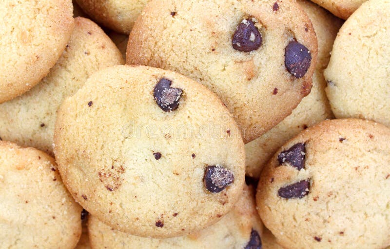 Small Chocolate Chip Cookies Up Close Stock Photo - Image of size ...