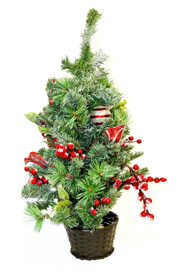 Small Christmas tree stock photo. Image of small, tree - 17030334