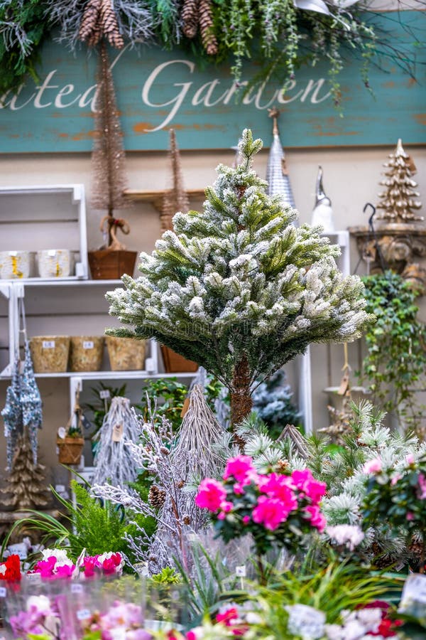 Small Christmas Tree and Flowers in a Store Stock Photo - Image of ...