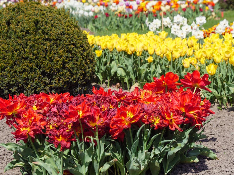 The Small City of Legden in Germany Stock Image - Image of muensterland ...