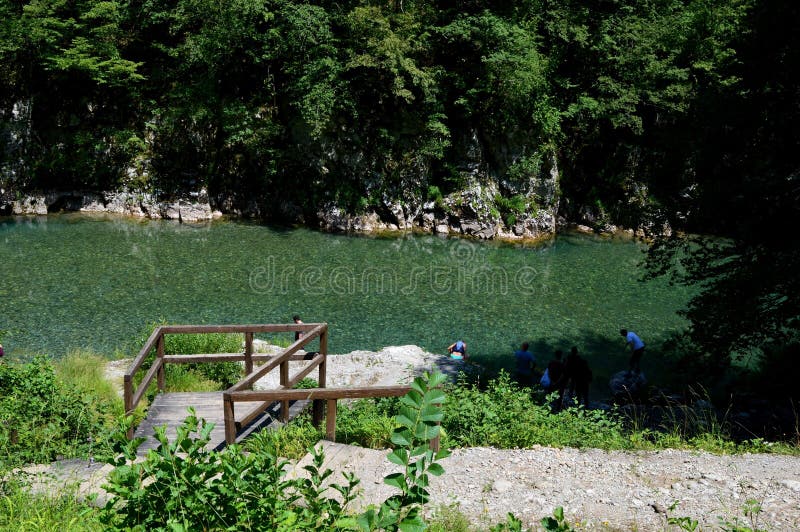 Small clean mountain river stock photo. Image of garden - 270201344