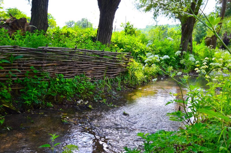 Small Clean River and Green Overgrown Banks Stock Image - Image of ...