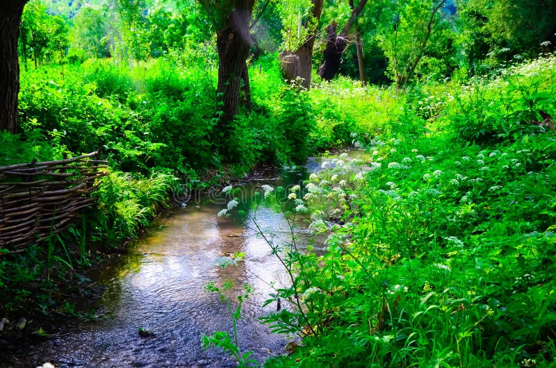 Small Clean River and Green Overgrown Banks Stock Photo - Image of ...