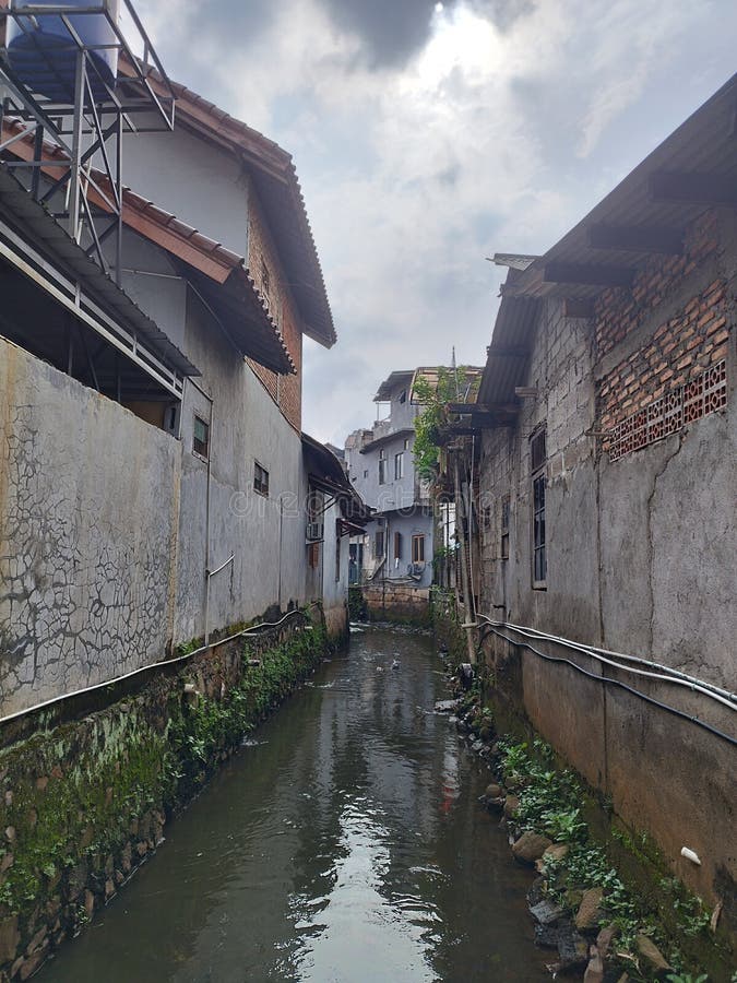 In Small Clean River Kalisari Stock Photo - Image of clean, clea: 264736780