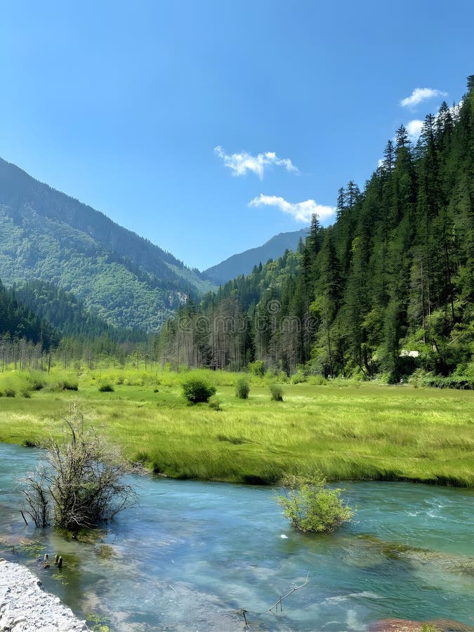 Clean River Water Flowing in the Mountains Stock Image - Image of alps ...
