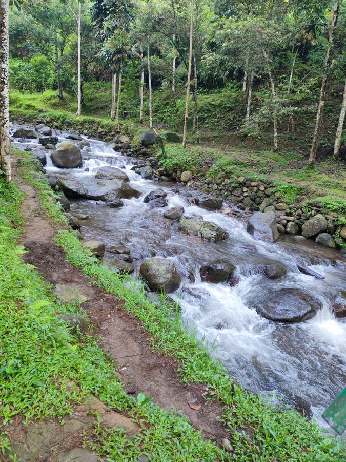 A Small Clear River in the Beautiful Mountains Stock Photo - Image of ...