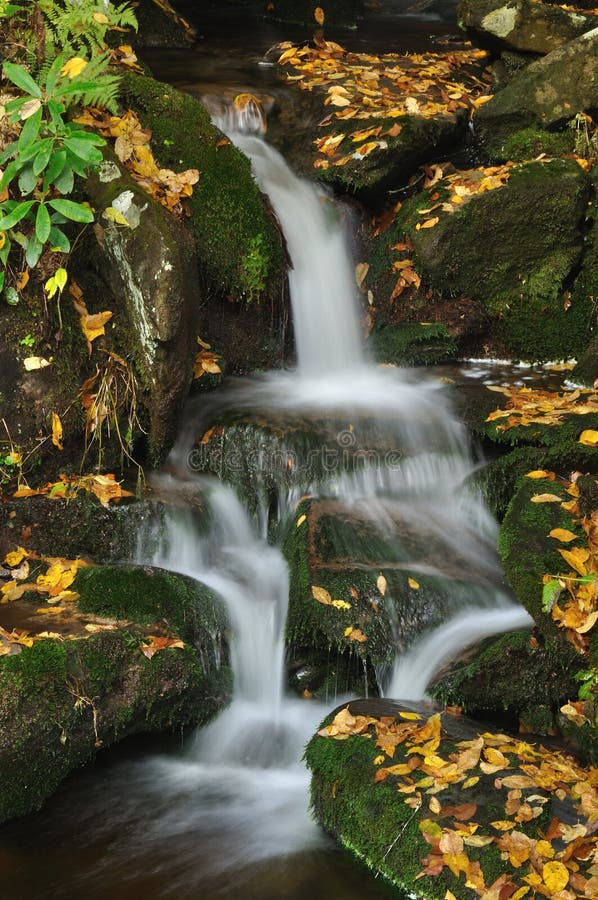 A Small Clear Stream in the Fall. Stock Photo - Image of great ...