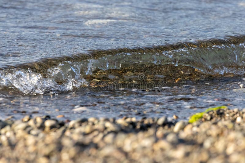Clear sea wave stock image. Image of wave, coast, vacation - 96845575