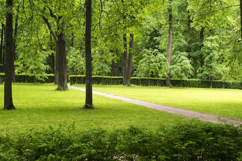 920 Farm Clearing Forest Stock Photos - Free & Royalty-Free Stock ...