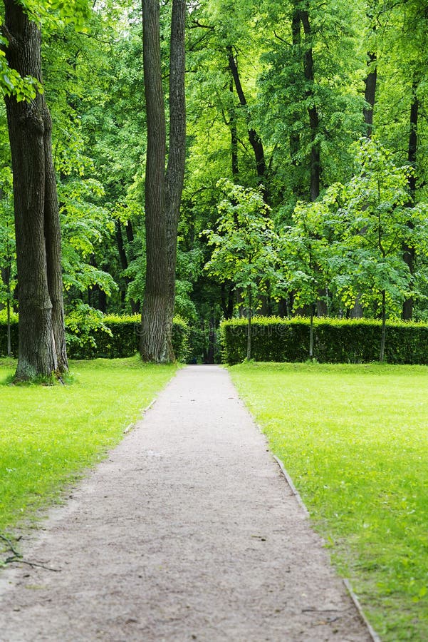A Small Clearing with Trees, Lawn and Path. Stock Image - Image of ...