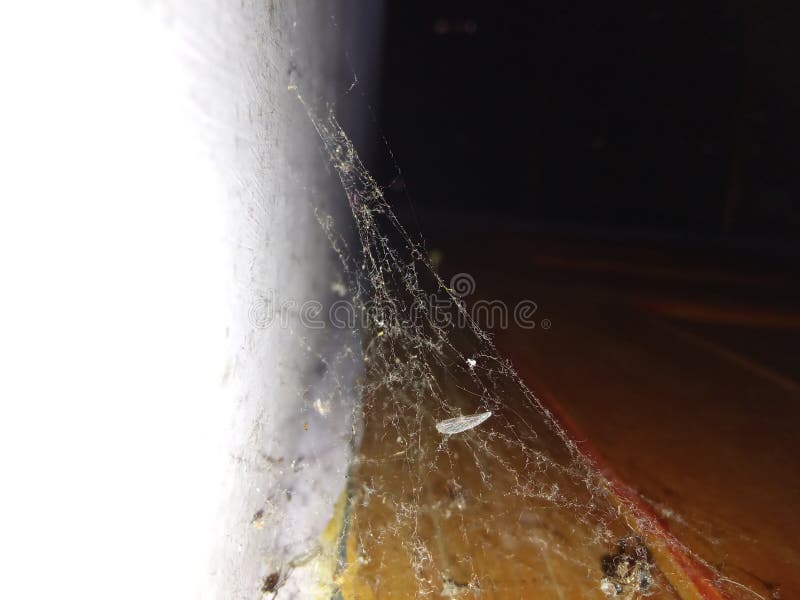 Small Cobweb on the Door of the House in Village Stock Photo - Image of ...