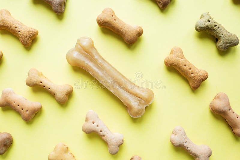 Small Colored Dog Bones Pattern on Yellow Wallpaper Background. Stock ...