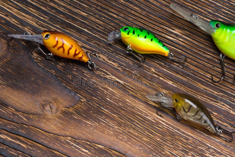 Small Colored Fish for Catching Spinning on the River Concept on a ...