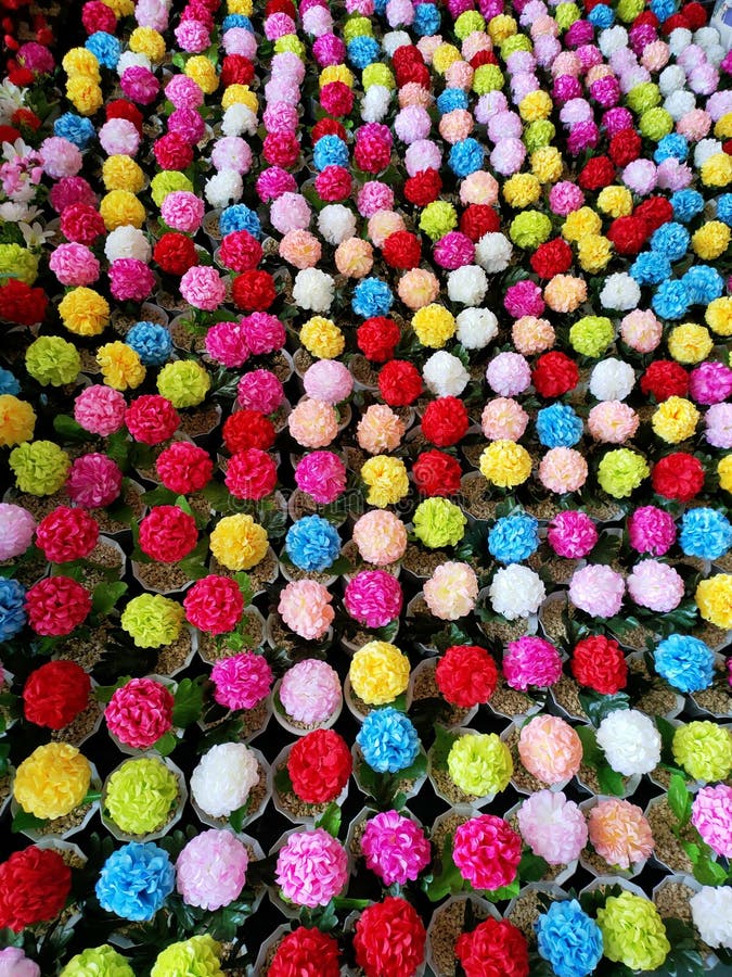 Small colorful flowers stock photo. Image of beds, landscaping - 74306100