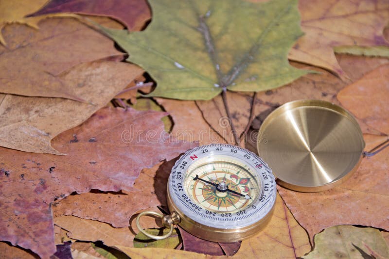 Small Compass on Falling Maple Leaves. Navigation Abstract Photo Stock ...