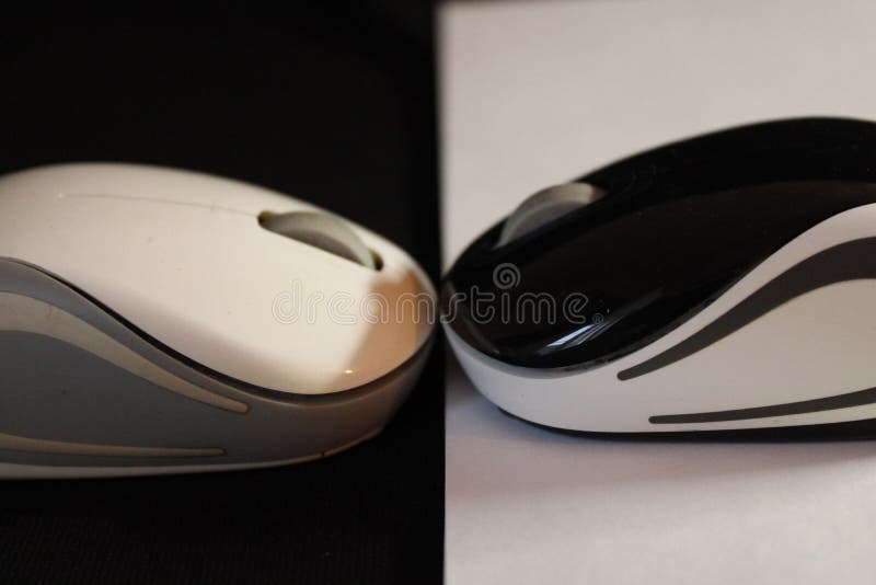 Small Computer Mice Stand on Black and White Horizontal Surfaces. Stock ...
