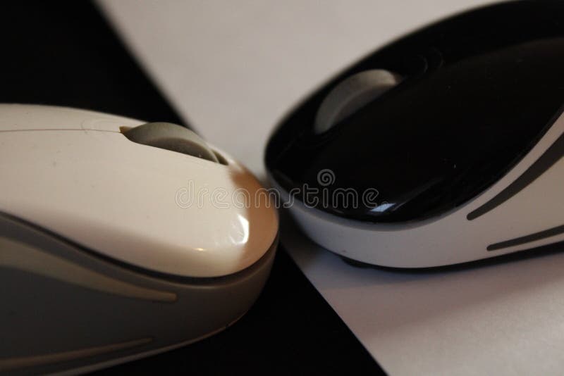 Small Computer Mice Stand On Black And White Horizontal Surfaces. Stock ...