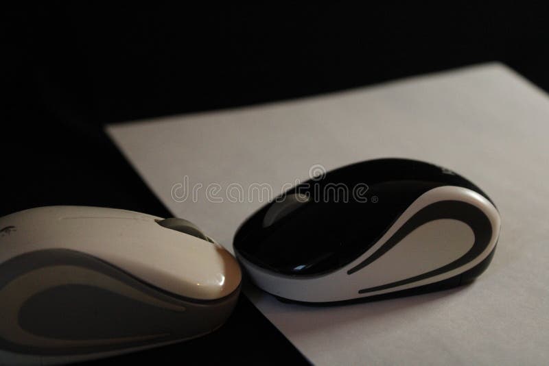 Small Computer Mice Stand on Black and White Horizontal Surfaces. Stock ...