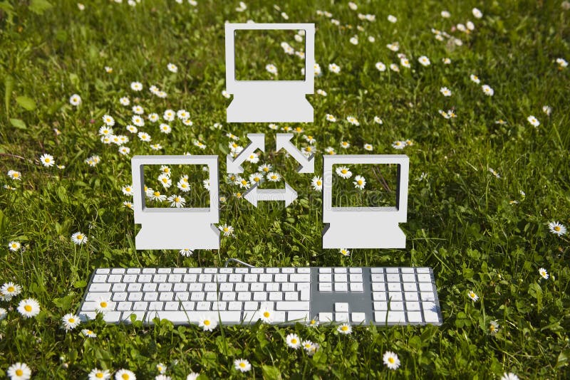 Small Computer Network in Garden Stock Illustration - Illustration of ...