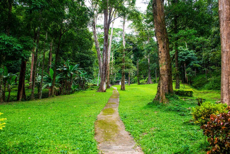Small Concrete Trail in National Park Stock Image - Image of pathway ...