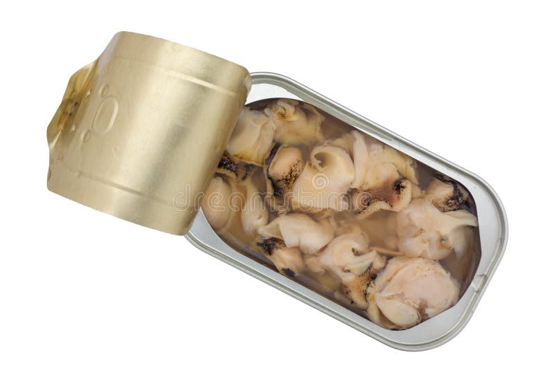 Top View of an Open Can of Artichoke Hearts Stock Photo - Image of ...