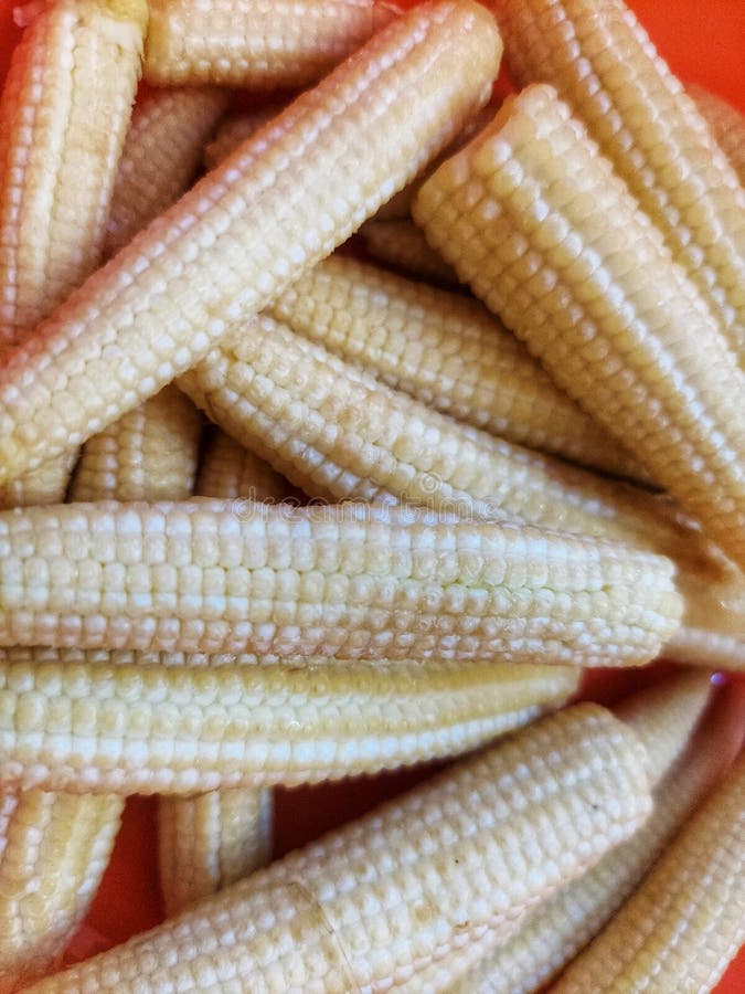 Small Corn with a Distinctive Name is Semi, Ready To Be Cooked Stock ...