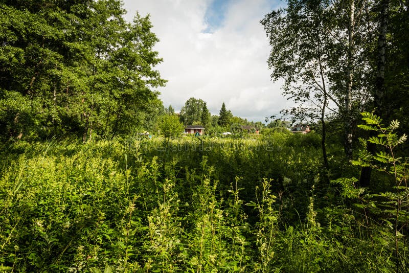 Small Cottages in the Forest Clearing Stock Image - Image of landscape ...