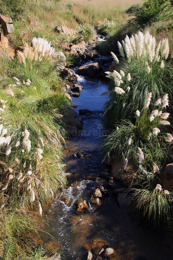 A small country stream stock photo. Image of countryside - 89438250