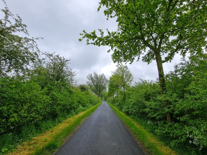Small countryside road stock photo. Image of nature - 226157486