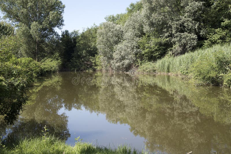 Small Inlet Derived from the Oglio River Stock Image - Image of small ...